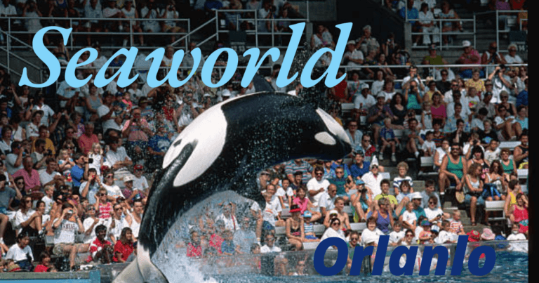 The Ultimate Guide to SeaWorld Orlando: Events, Hotels, and More ...