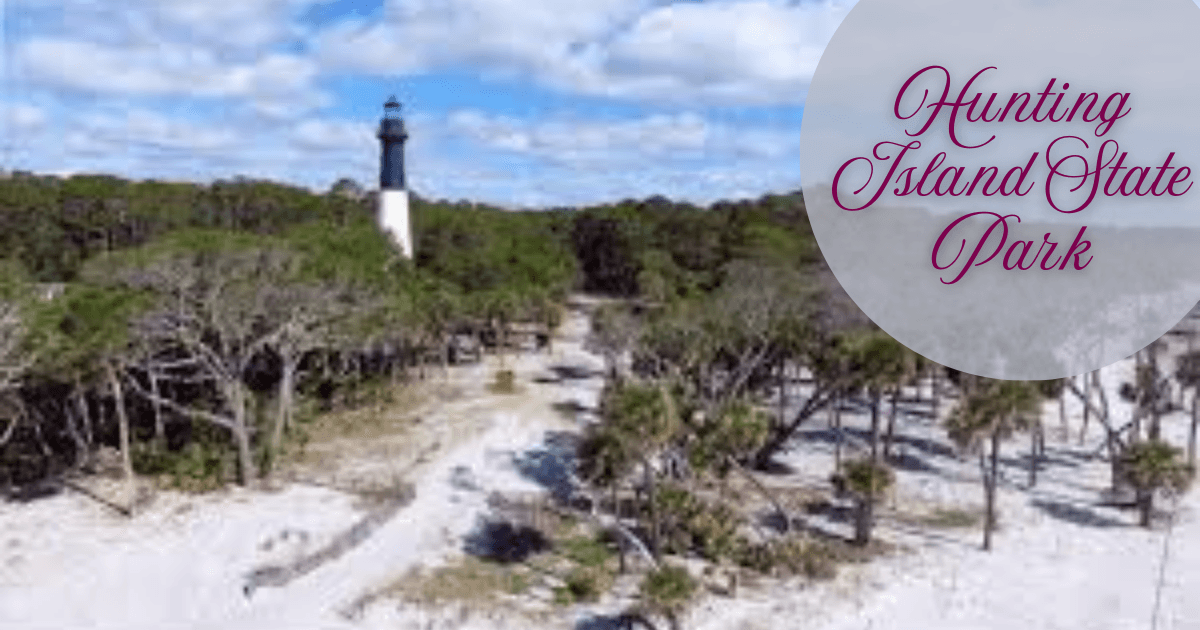 Ultimate Guide to Hunting Island State Park - JourneyJ.com