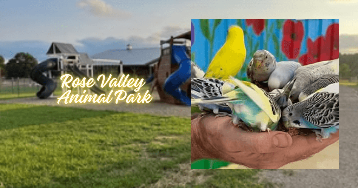 Discover Rose Valley Animal Park :- A Hidden Gem in Minford, Ohio ...